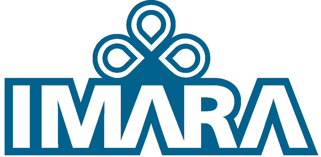 Disaster Management & Resilience Consulting | Imara-IHG